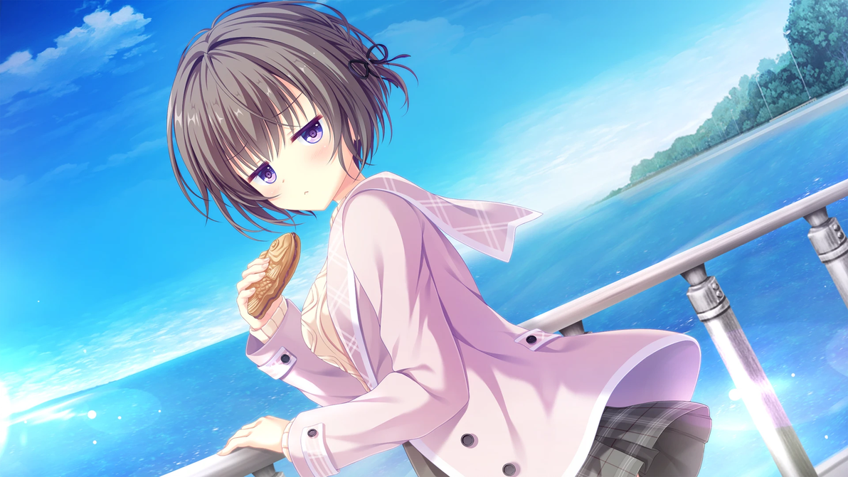 galgame壁纸CG【72】 - 哔哩哔哩