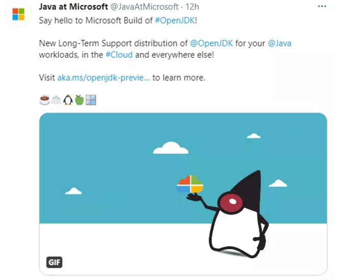 王炸！！微软终于对 JDK 下手了…