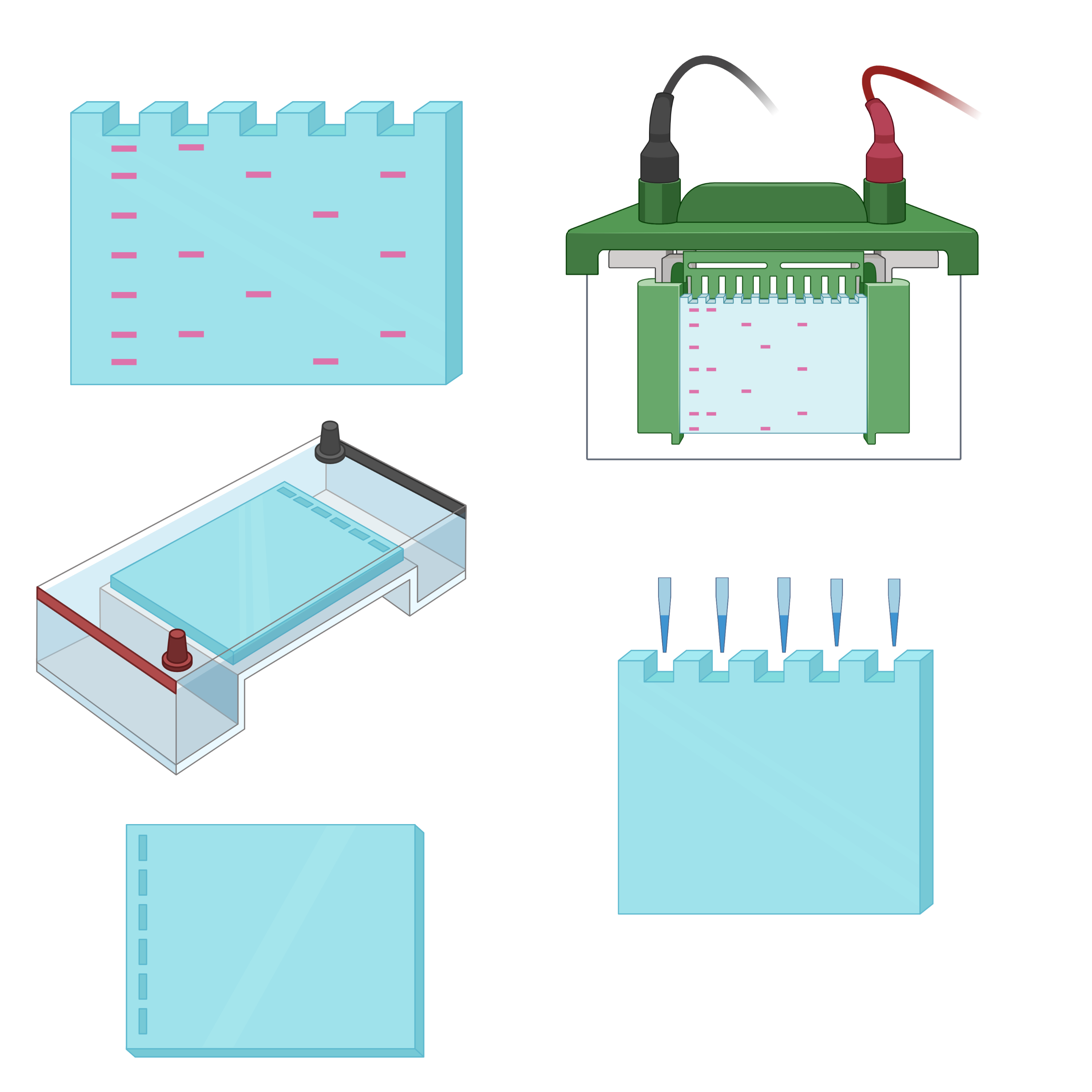 western blot PPT素材 - 哔哩哔哩