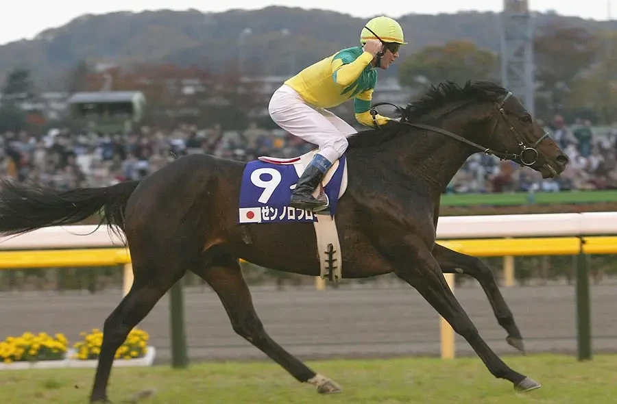 【全图鉴】日本JRA年度代表马（1954-2022） - 哔哩哔哩