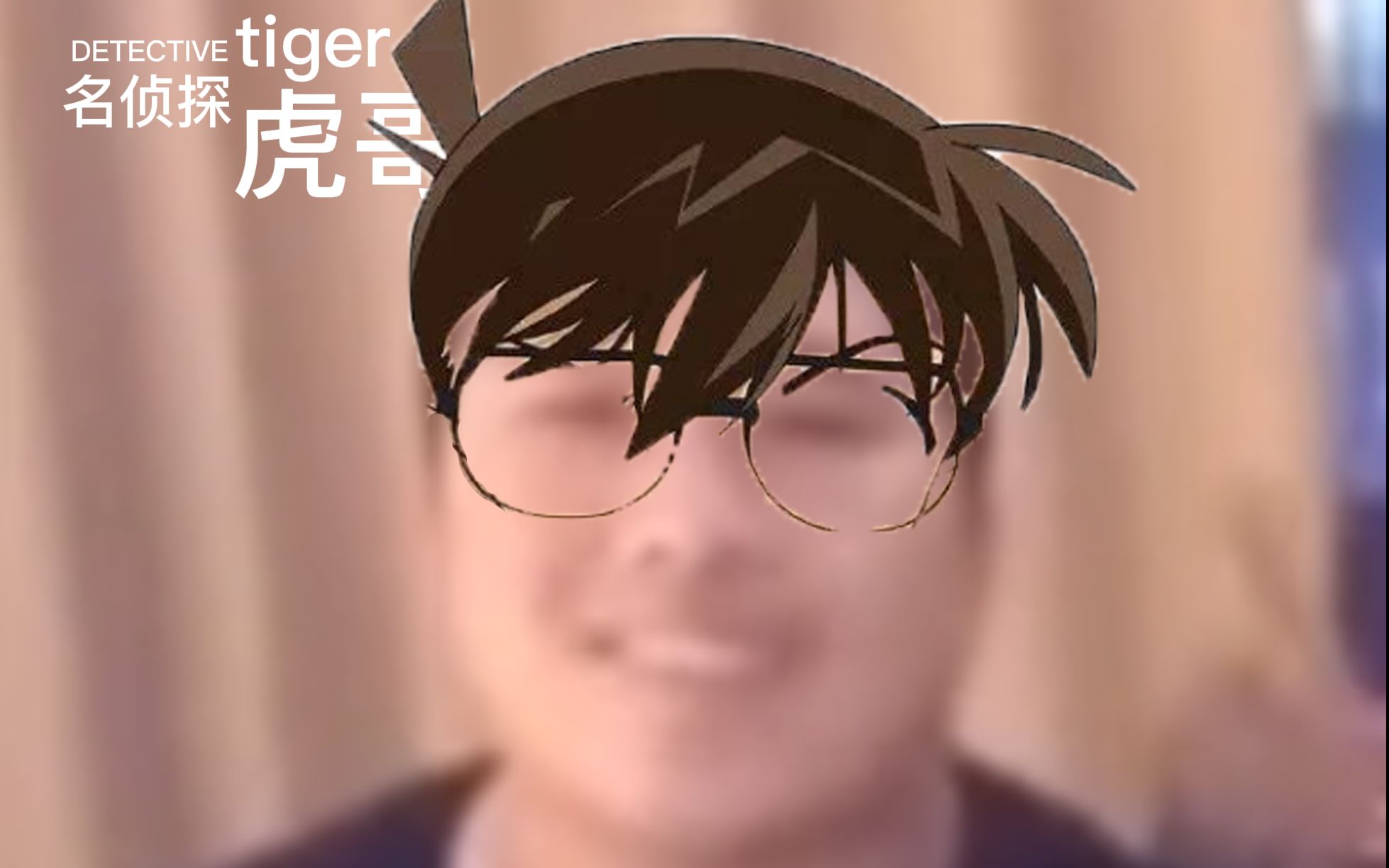 名侦探虎哥剧场版 哔哩哔哩