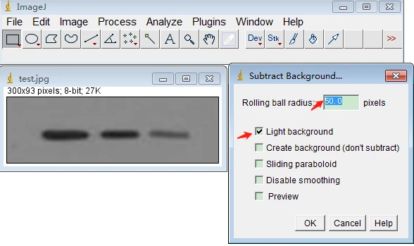 ImageJ惊艳登场！分分钟搞定WB条带灰度分析（内含免费软件包） - 哔哩哔哩