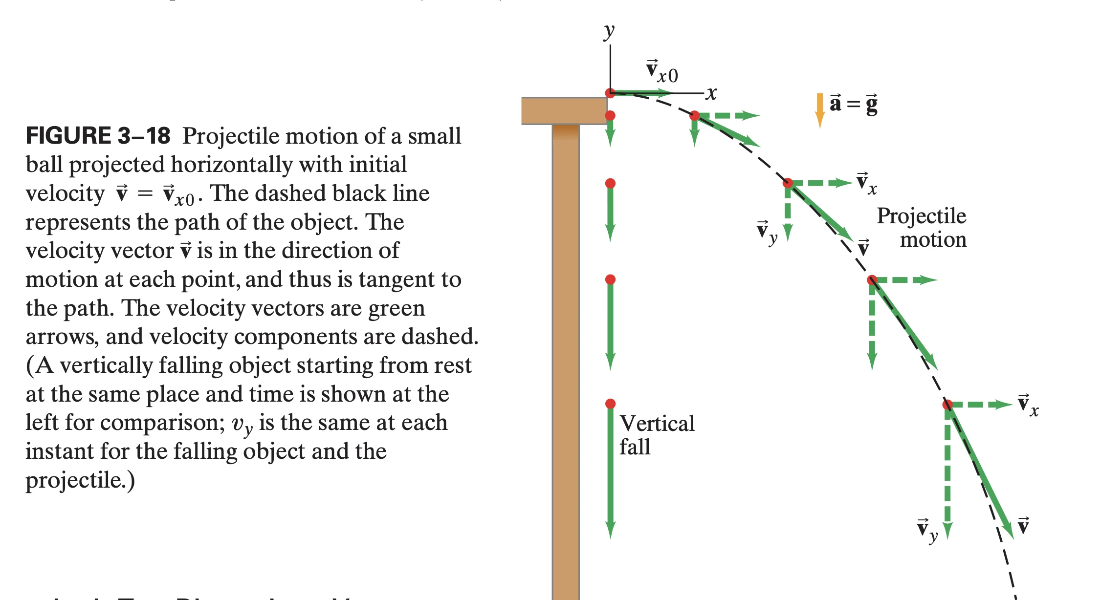 Projectile Motion 弹丸运动（？） - 哔哩哔哩