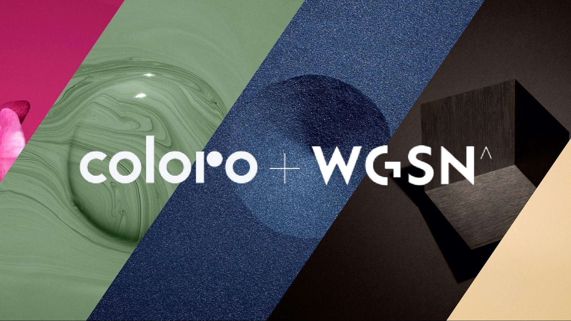 Coloro联合wgsn发布2022 23秋冬流行色关键色 哔哩哔哩