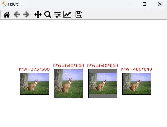 第十三篇—Rectangular推理（YOLOv5专题） - 哔哩哔哩