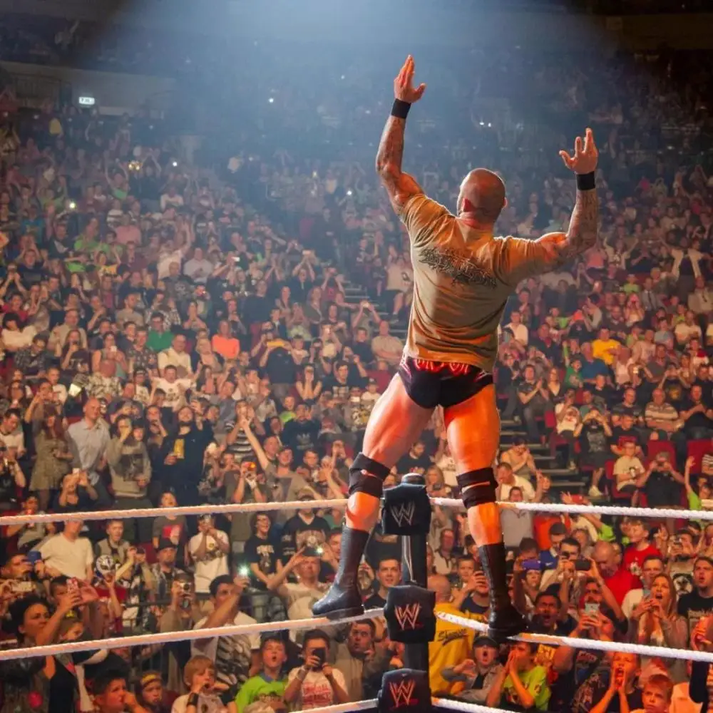 WWE摔角手绝招&终结技&常用技大全[绝招花名册] - 哔哩哔哩