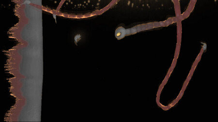 雨世界Wiki搬译 | 虚空蠕虫 - Void Worm - 哔哩哔哩