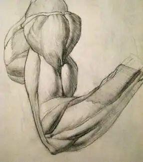 Ron Lemen 讲解人体前臂结构 - 哔哩哔哩