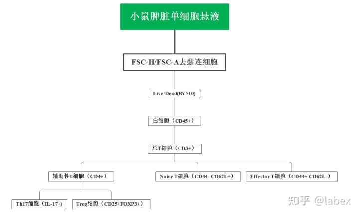 LabEx 流式服务实例分享——小鼠脾脏的9色分析 - 哔哩哔哩