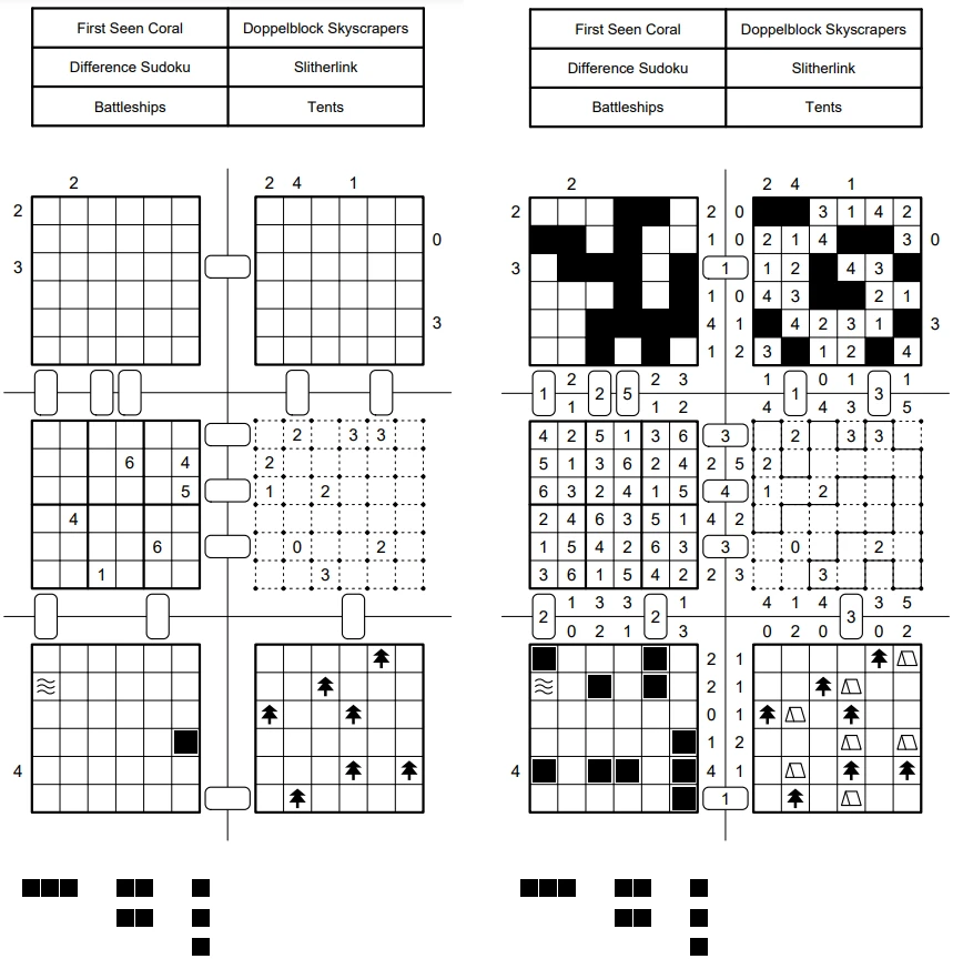 历届谜题世锦赛都整过什么活--World Puzzle Championship 2024回顾贴（0） - 哔哩哔哩