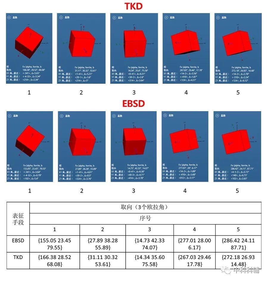 TKD实现可靠且更高分辨率的取向表征--中科科辅 - 哔哩哔哩