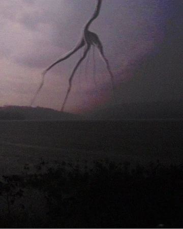 特雷弗亨德森生物-The Wandering Faith - 哔哩哔哩