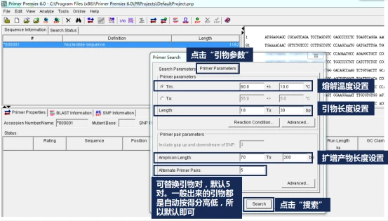 Primer Premier 6，3分钟教你完成引物设计（含软件安装） - 哔哩哔哩