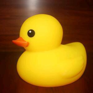 scp－1356－橡皮鸭子 - 哔哩哔哩