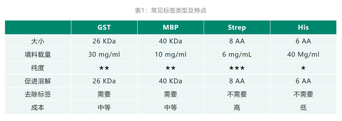 标签蛋白纯化之MBP篇 - 哔哩哔哩