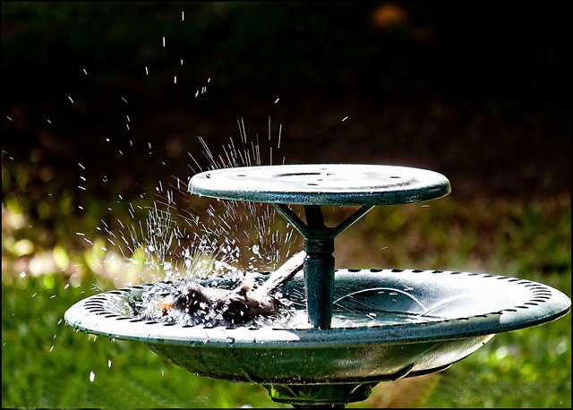 光学透视（Optical see-through）--Birdbath - 哔哩哔哩
