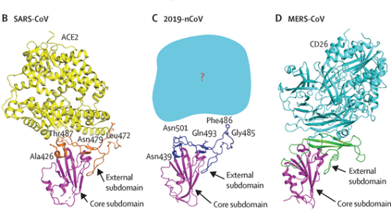 一次性get！6种pdb文件获取方式（附李继存老师翻译版） - 哔哩哔哩