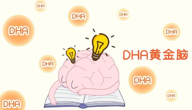 DHA的作用与功效怎样 埃森美DHA - 哔哩哔哩