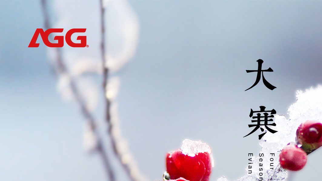 大寒丨穿庭飞花，盛雪芳华 哔哩哔哩