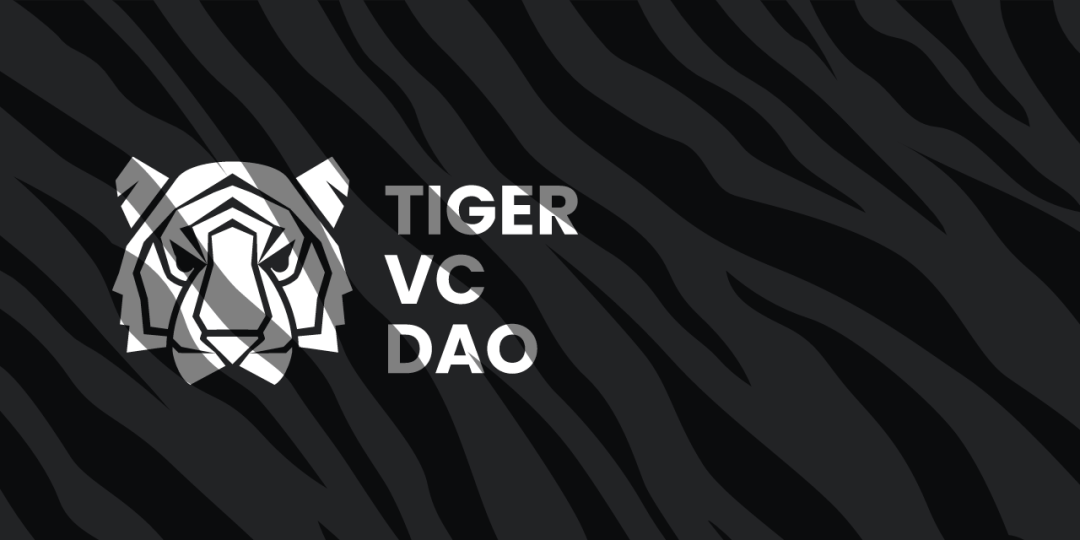Tiger VC DAO打造去中心化VC，为NFT、DAO带来新叙事 - 哔哩哔哩