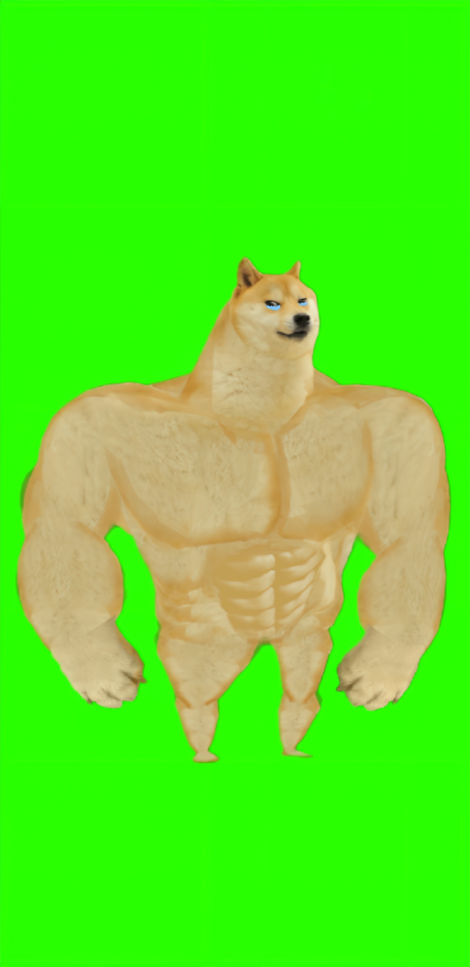 自己二次加工的一些cheems素材 - 哔哩哔哩