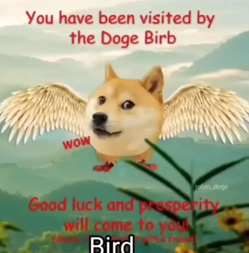 cheem/doge合集【1】｜正常人用的表情包 - 哔哩哔哩