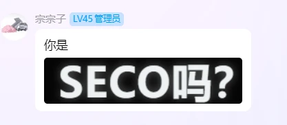 SECO Puzzle Hunt write up - 哔哩哔哩