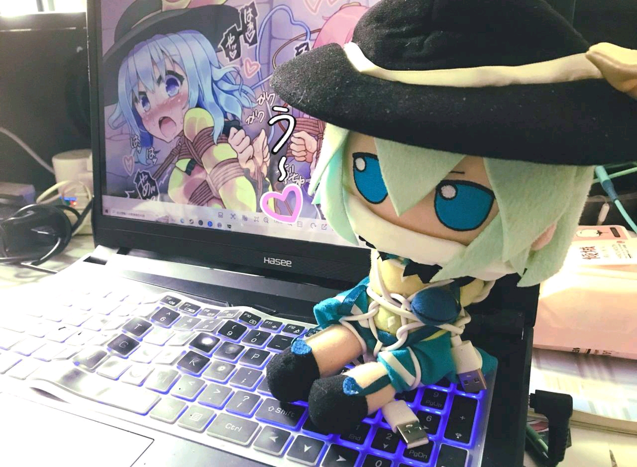 群友们的奇怪Fumo们(13) - 哔哩哔哩