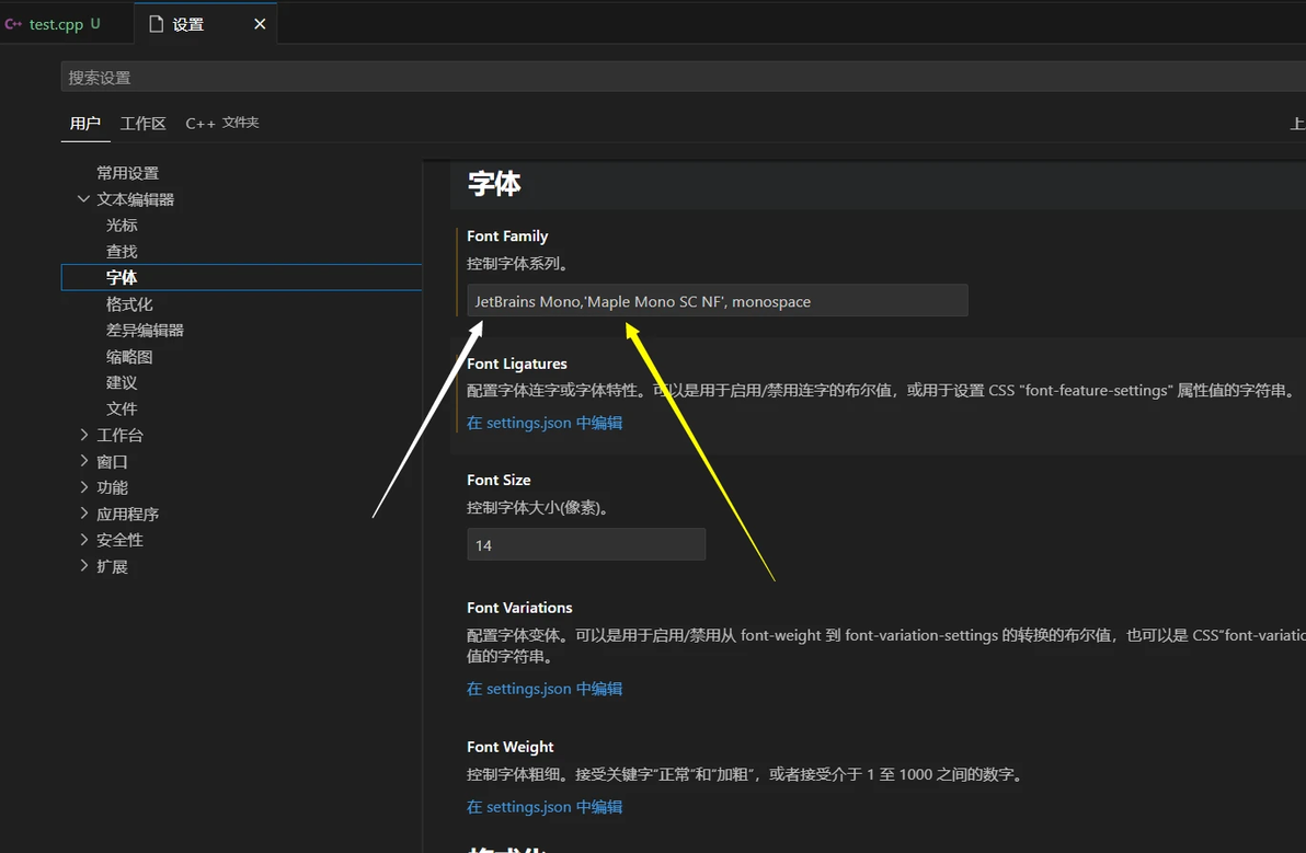 在idea与vscode中通过中英文字体混搭实现文字对齐（JetBrains Mono + Maple Mono） - 哔哩哔哩