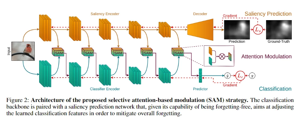 持续学习/终身学习/增量学习（论文实时更新2024.4.5） - 哔哩哔哩