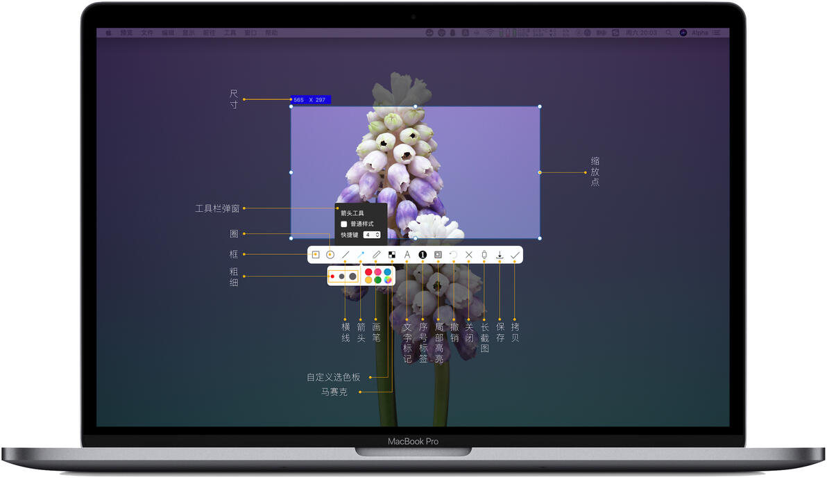iShot-Mac上最好用的免费截图/长截图/贴图/标注工具 - 哔哩哔哩