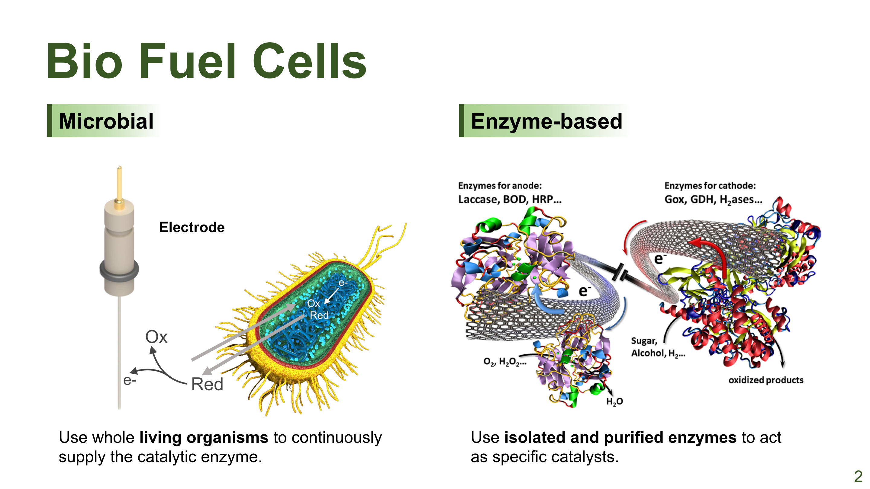 生物燃料电池丨Biofuel Cells: using nature to grow batteries - 哔哩哔哩