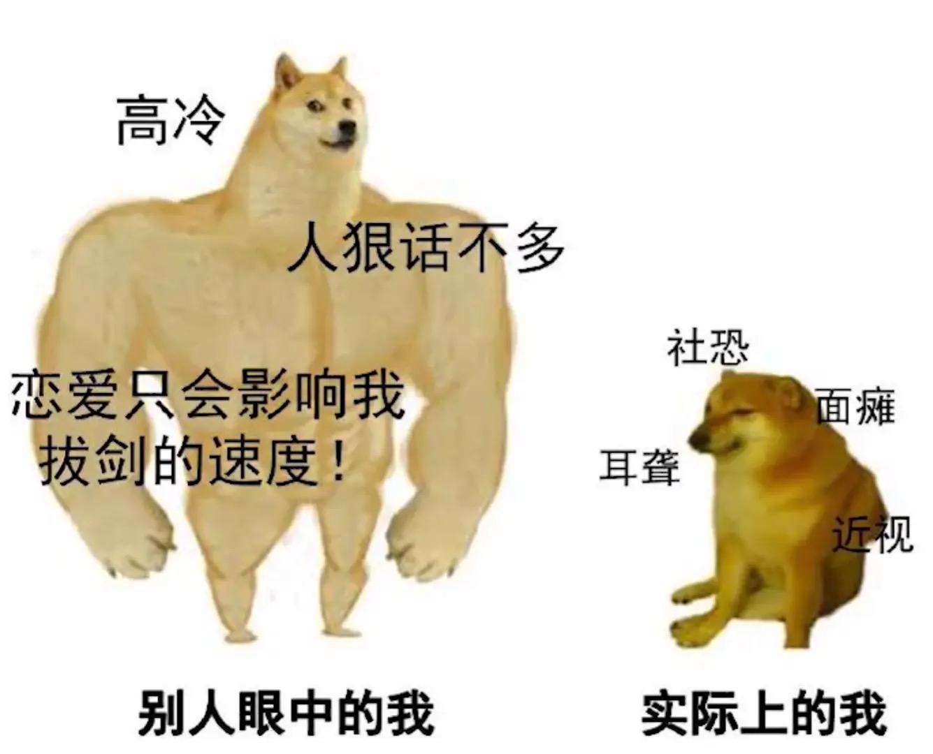 cheems/doge合集【2】｜正常人用的表情包（含对比图） - 哔哩哔哩