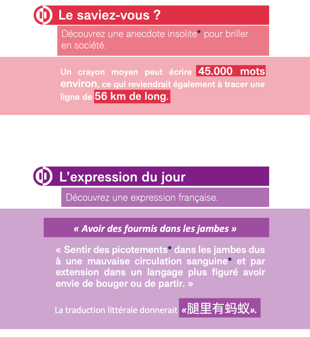 留法校友会 全新法语栏目 | La pause francophone - 哔哩哔哩