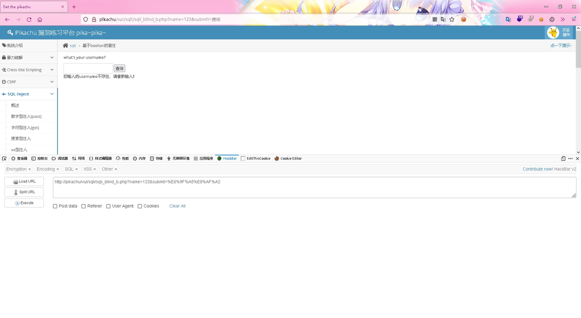 Pikachu 漏洞练习平台Sql Injection盲注通关指南pika~pika~ - 哔哩哔哩