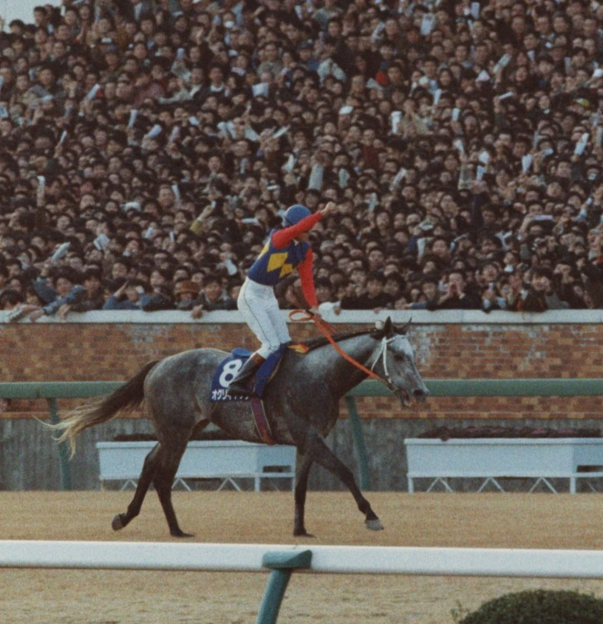 【全图鉴】日本JRA年度代表马（1954-2022） - 哔哩哔哩