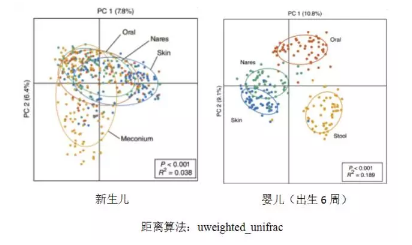 PCA、PCoA、NMDS 、RDA和CCA等排序分析方法 - 哔哩哔哩