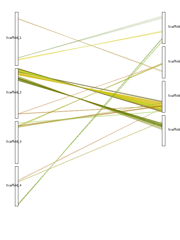 【电子笔记】基因组共线性分析简单流程 - 哔哩哔哩