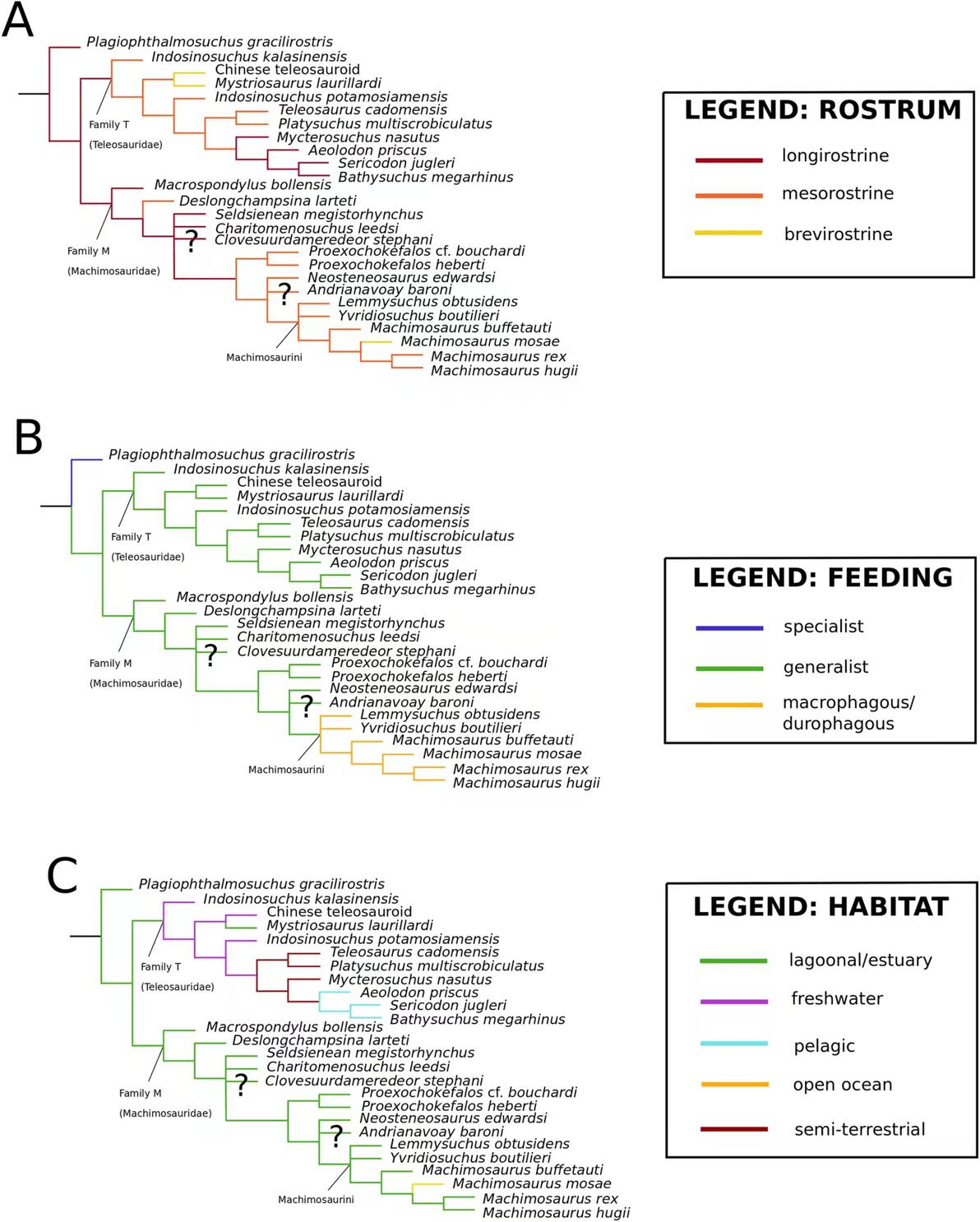 蛟横四海惊涛涌——简单说说海鳄亚目（完整版） - 哔哩哔哩