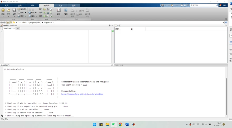 基因组规模代谢模型（GSMM）中流平衡分析（FBA)运算 - 哔哩哔哩