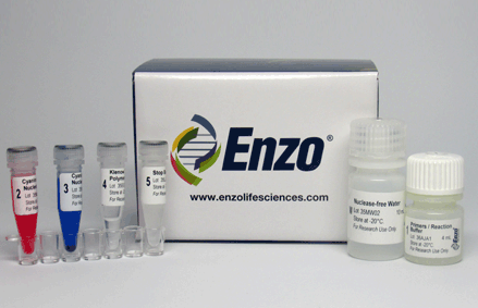 艾美捷代理丨Enzo Life Sciences——CYTAGCGH标记试剂盒 - 哔哩哔哩
