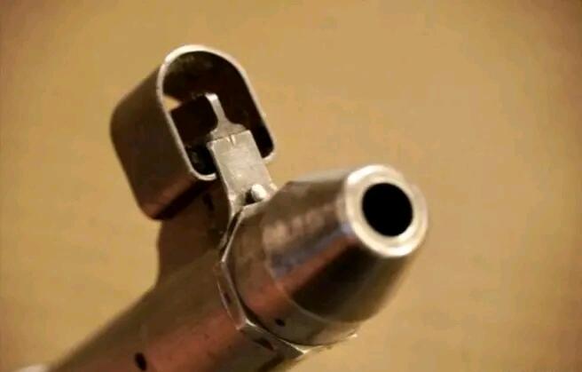 德国G41(W)半自动步枪 - 哔哩哔哩