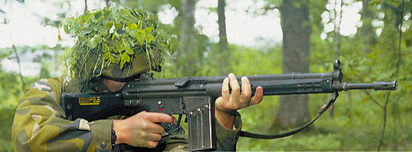 沐头的冷门枪械库——AK5突击步枪 - 哔哩哔哩