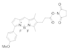 BDP TMR NHS ester，cas485397-12-4，硼二吡咯烯染料技术资料 - 哔哩哔哩