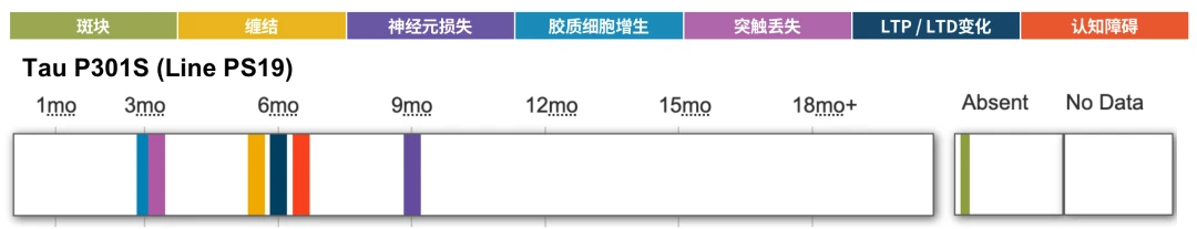 Tau P301S (PS19)小鼠｜AD模型 - 哔哩哔哩