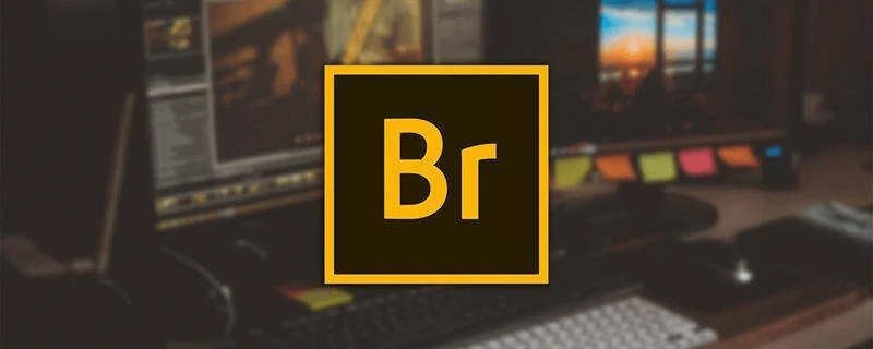 Adobe Bridge(Br) 2021 软件下载及安装教程(含全版本安装包) - 哔哩哔哩