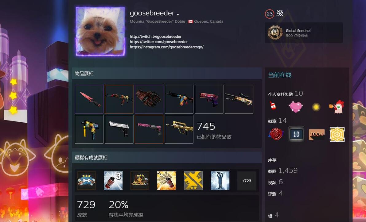 CSGO职业哥资料和库存： EliGE把原版皮肤全部改名 ,最爱各种无涂装皮肤刀(CS鸡哥） - 哔哩哔哩