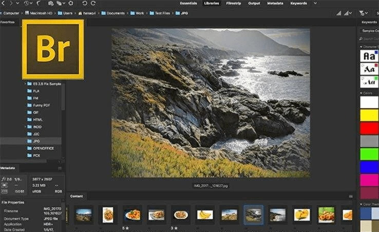 Adobe Bridge(Br) 2021 软件下载及安装教程(含全版本安装包) - 哔哩哔哩