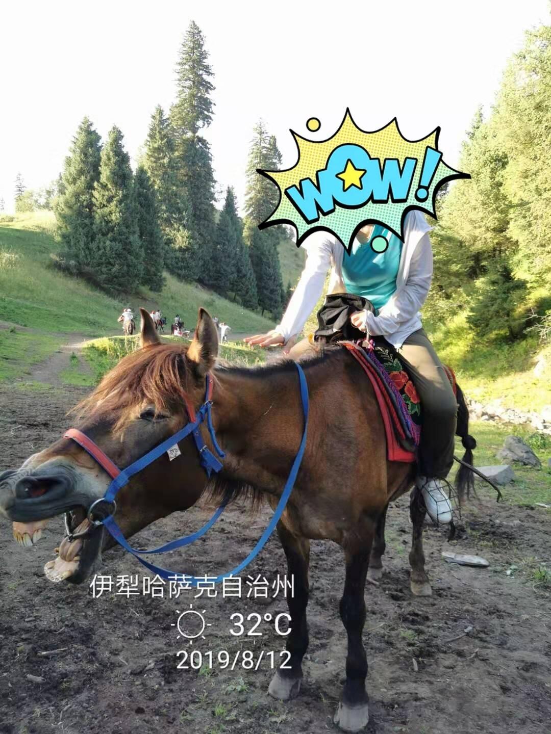 「键摄日常」RYYB与RGGB之争（下）RYYB的今生前世 - 哔哩哔哩