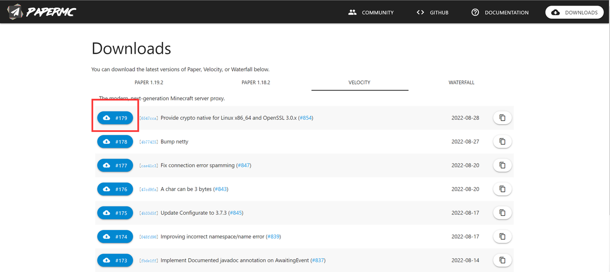 Minecraft Java Edition开服教程（5）多服务端切换 - 哔哩哔哩
